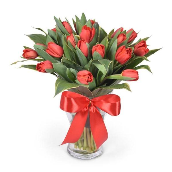 Tulip Flower Delivery